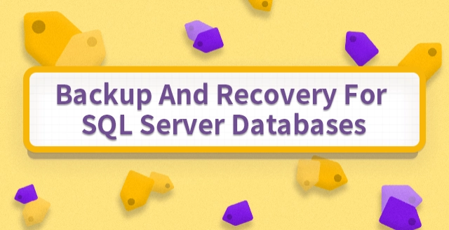 Backup and Recovery for SQL Server Databases | LabEx