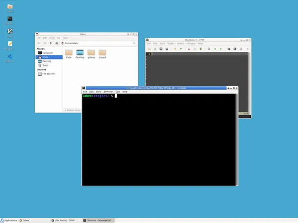 Free Linux, DevOps & Cybersecurity Labs | LabEx