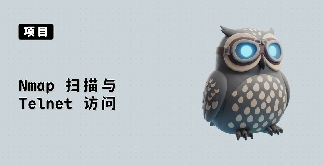 使用 Nmap 检测服务 Banner | LabEx